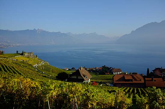 lavaux | Chardonne.ch